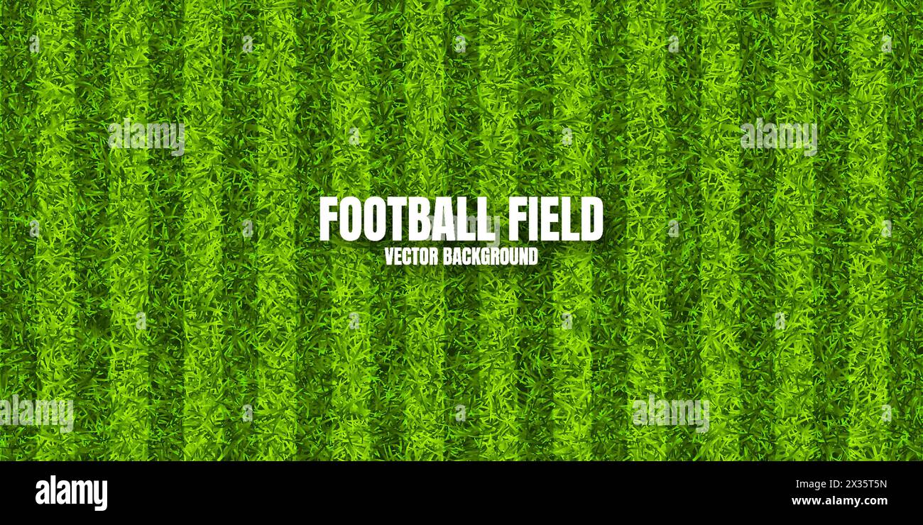 Soccer playing field with green grass. Football pitch background with ...