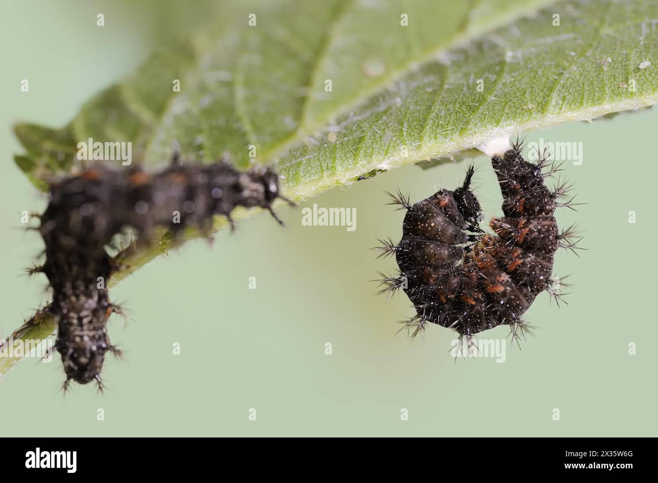 Map development hi-res stock photography and images - Alamy