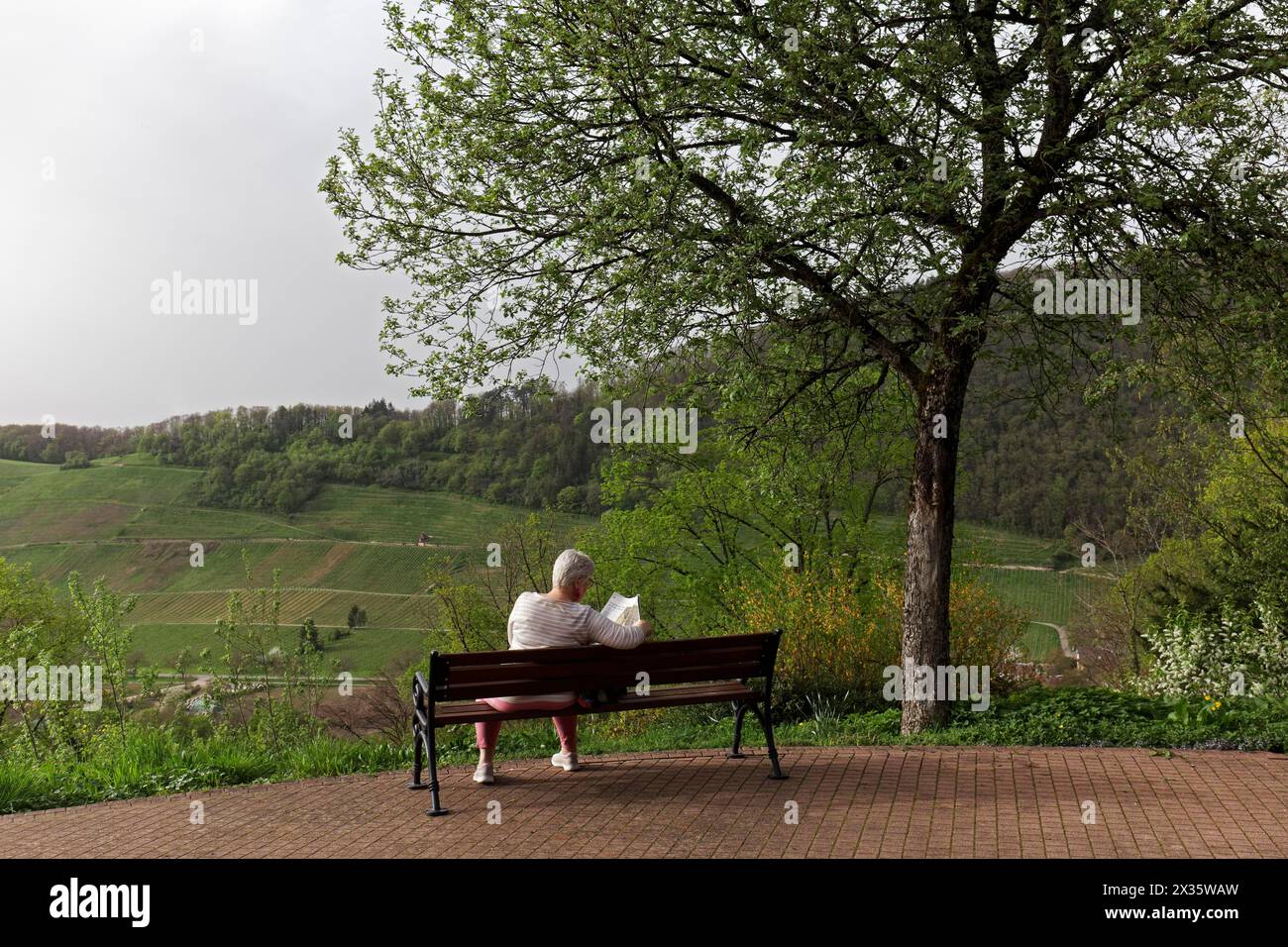 Senior citizen sitting on a bench and reading a newspaper, spring, spa ...