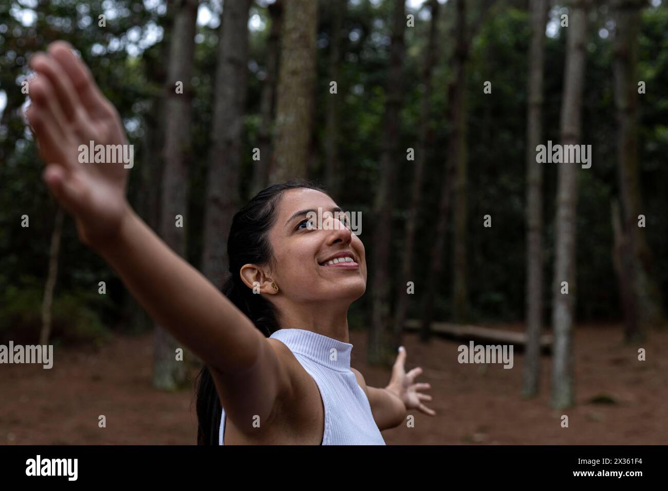 Young Latin American woman (25) inside a pine forest with open arms to ...