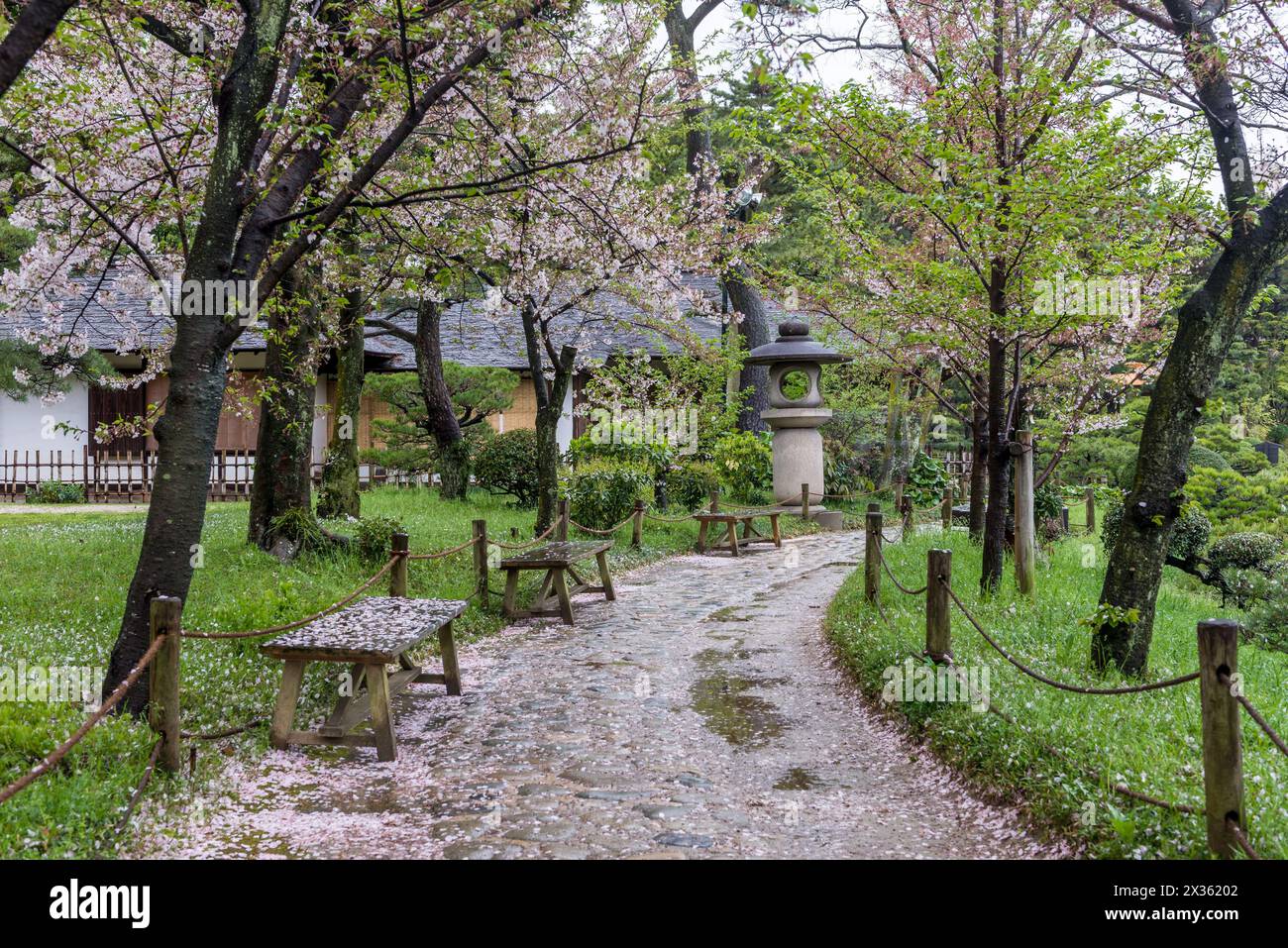 Red bench japanese garden hi-res stock photography and images - Alamy