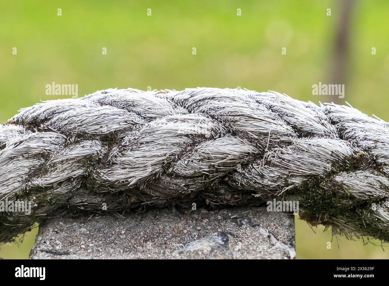 A rope is wrapped around a stone, and it is covered in frost. The rope ...