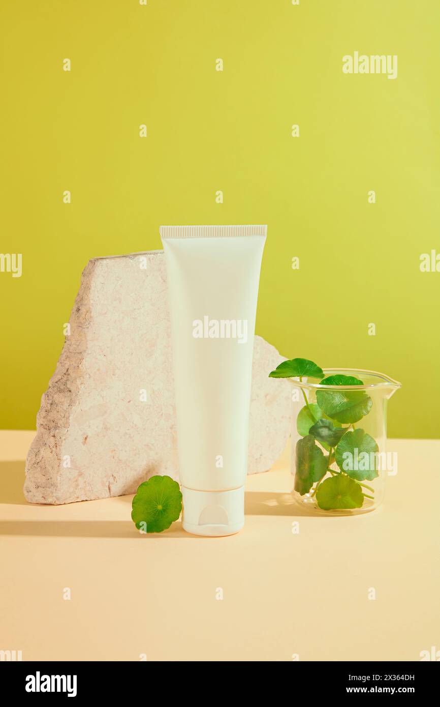Cosmetic mockup tube, gotu kola leaves, beaker and block of stone on ...