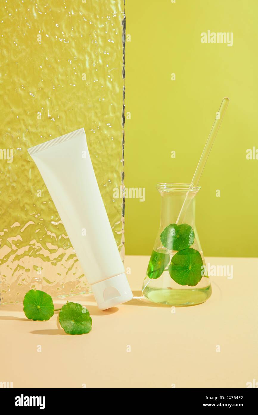 Front view of white cosmetic tube with gotu kola leaves on glass flask ...