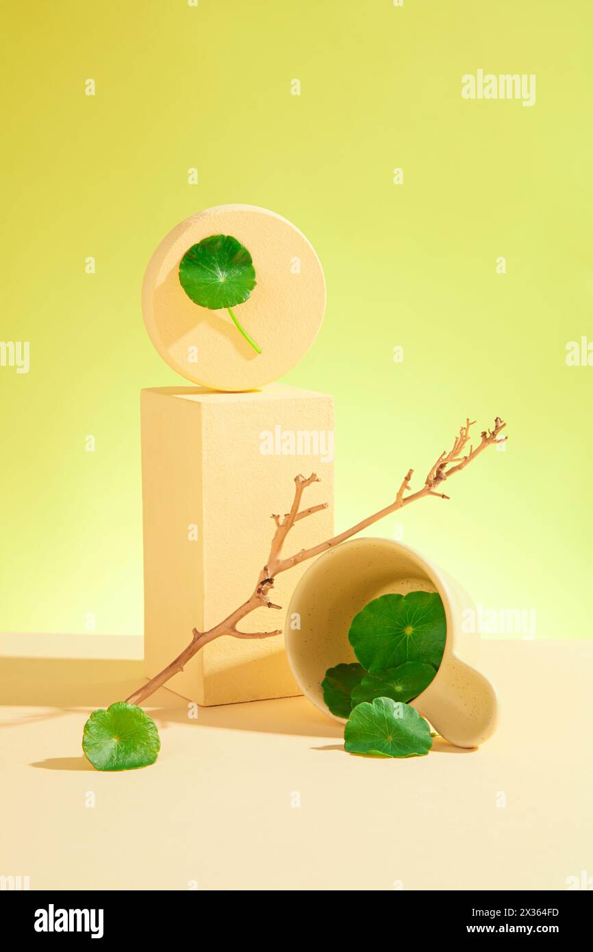 Creative background for advertising product with ingredient from ...