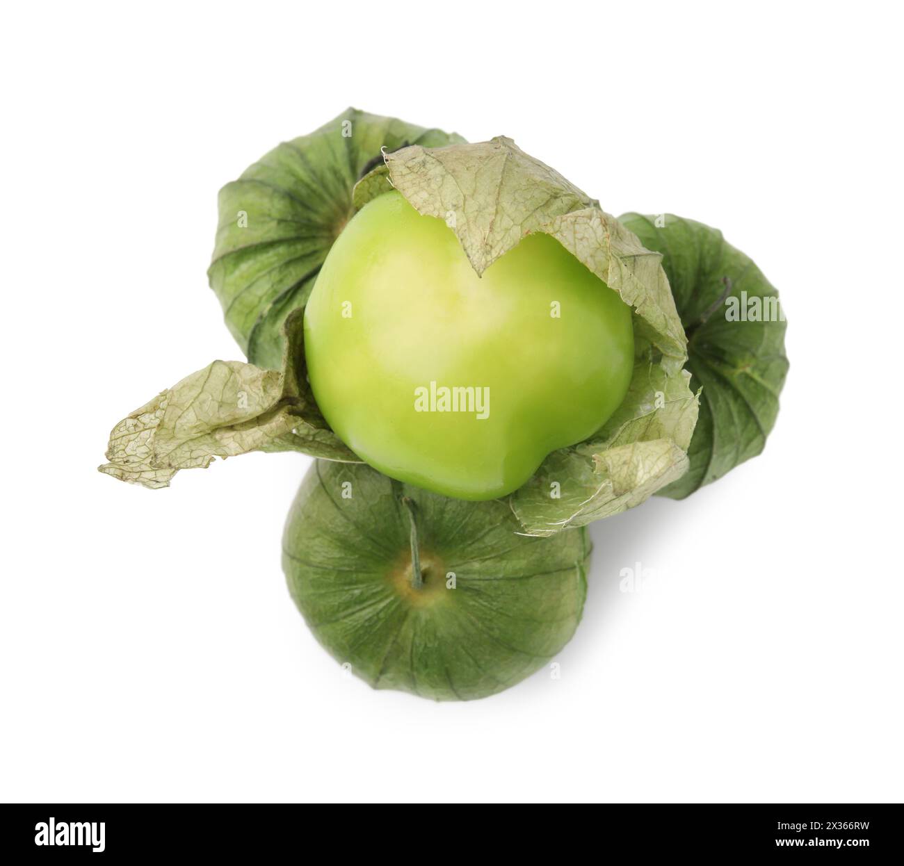 Fresh green tomatillos with husk isolated on white, top view Stock ...