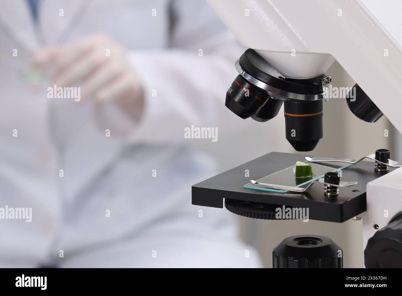 Quality control. Food inspector working in laboratory, focus on ...