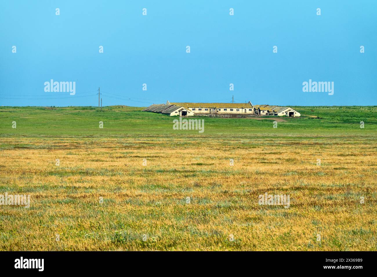 An old abandoned sheepfold shed with sheephouse (sheep farm) in the ...