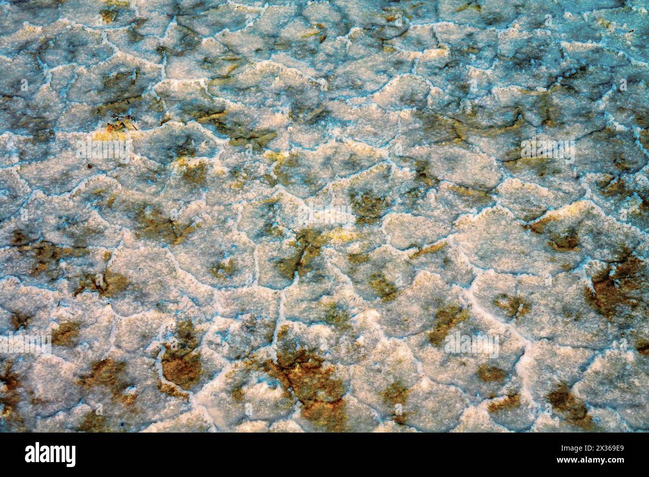 Pedology. Dried-up lake basin (dry lakebed) with a crust is called an ...