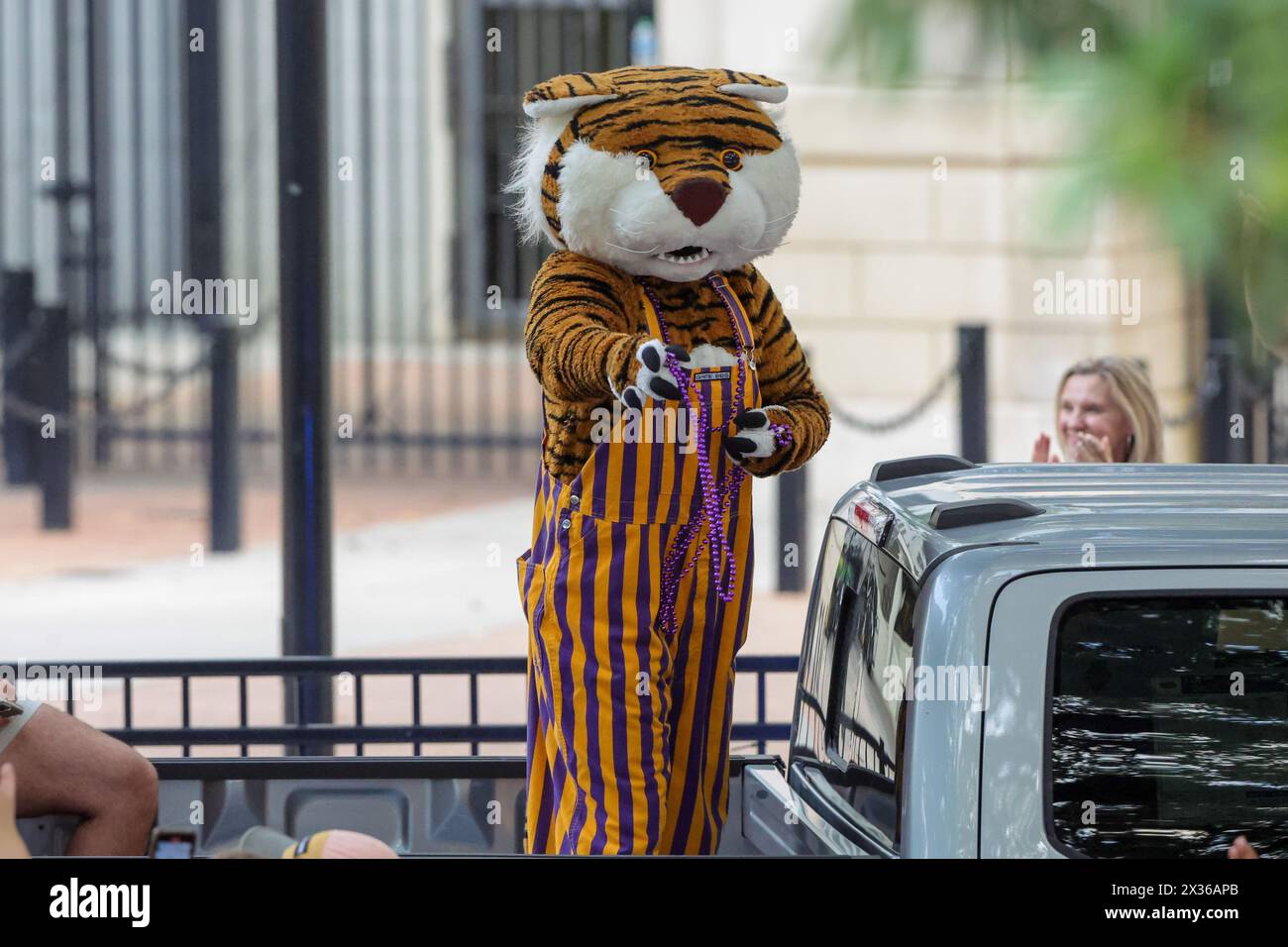 Baton Rouge, LA, USA. 24th Apr, 2024. LSU's mascot Mike the Tiger ...