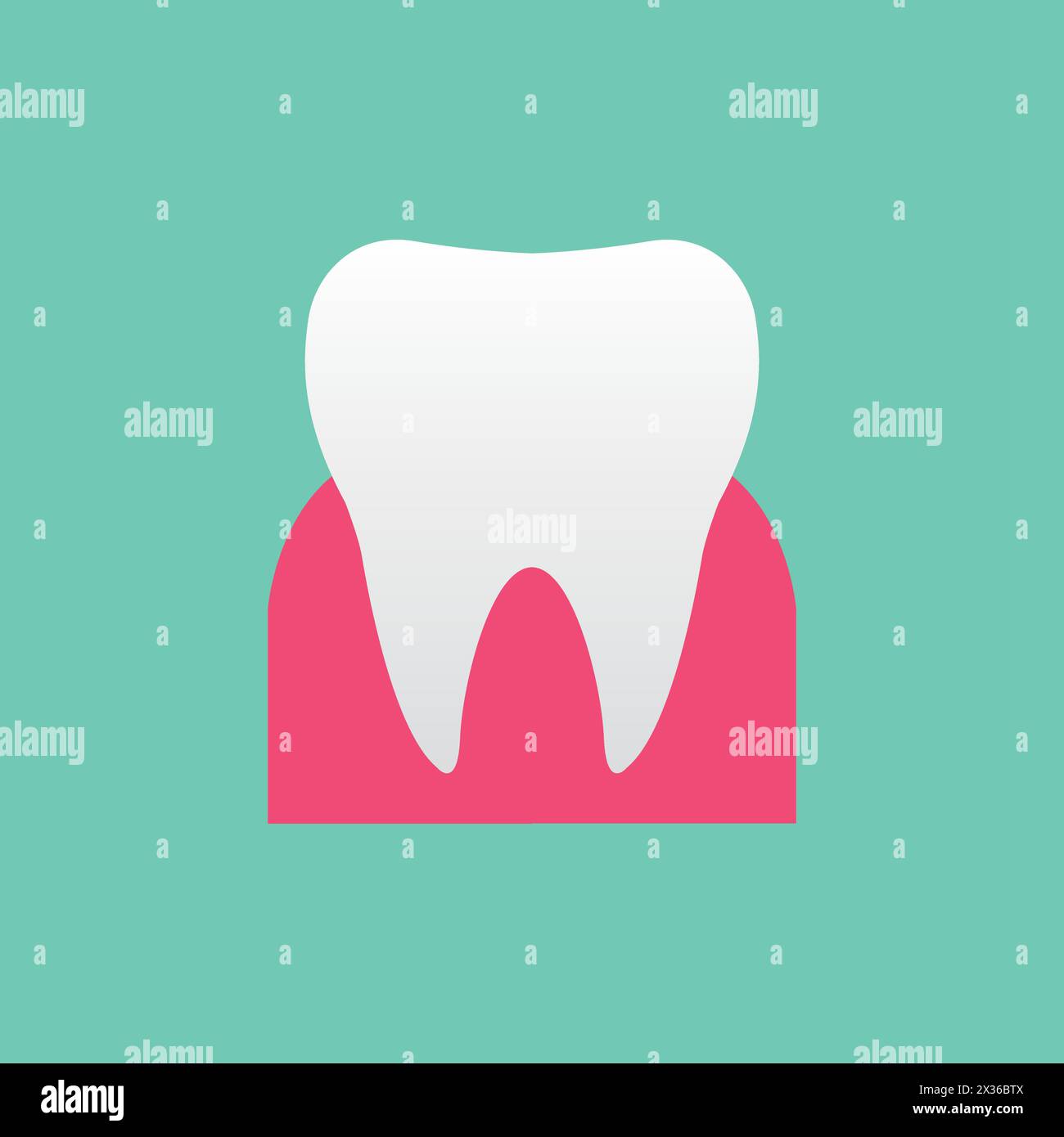 Clean white molar with healthy teeth. Teeth brushing ideas to prevent ...