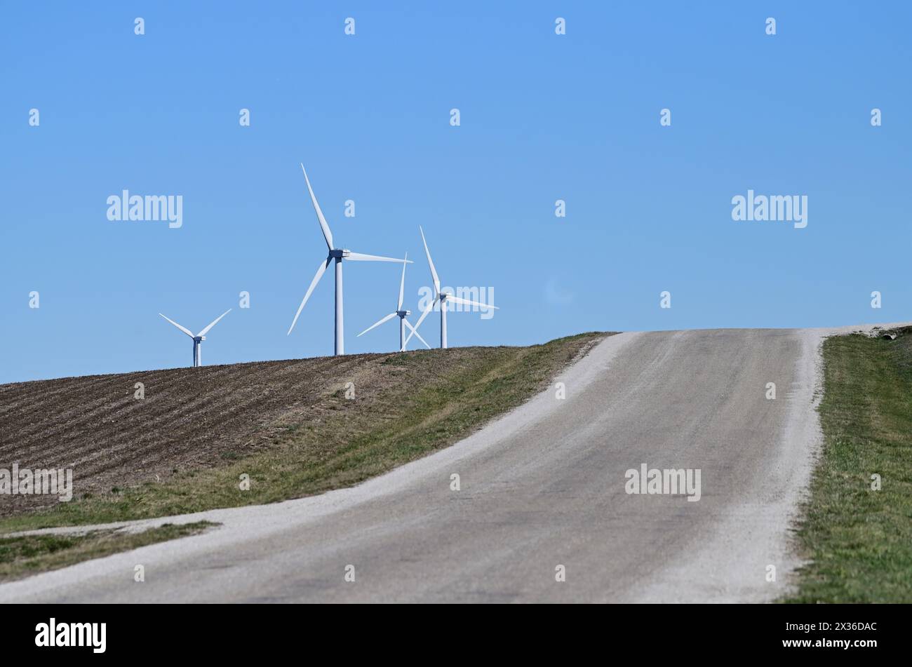 Ransom, Illinois, USA. A paved country road stretches over the crest of ...