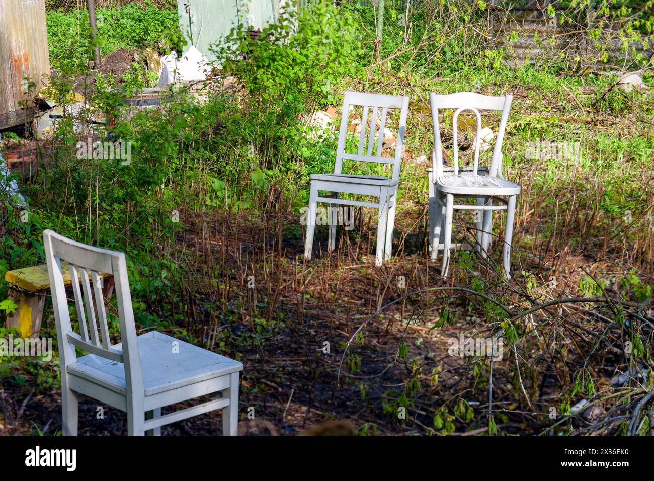 a collection of white retro chairs abandoned in the messy backyard ...