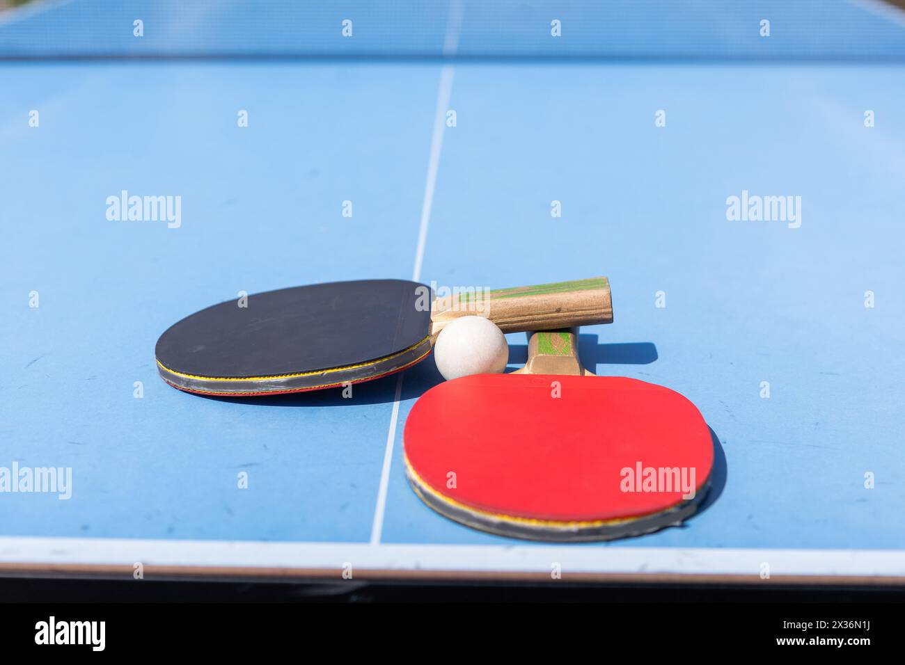 Red and black Table Tennis Paddles and ball on the blue table tennis ...