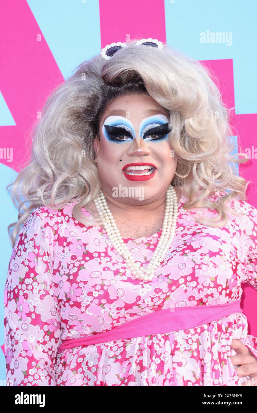 Los Angeles, USA. 24th Apr, 2024. Meatball attends the HBO's 'We're ...