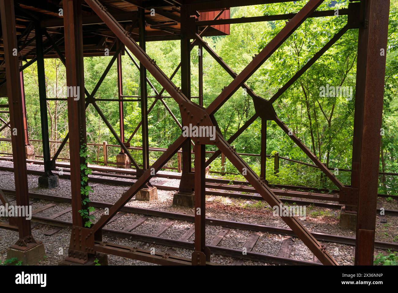 The Nuttallburg Coal Conveyor and Tipple at the New River Gorge ...