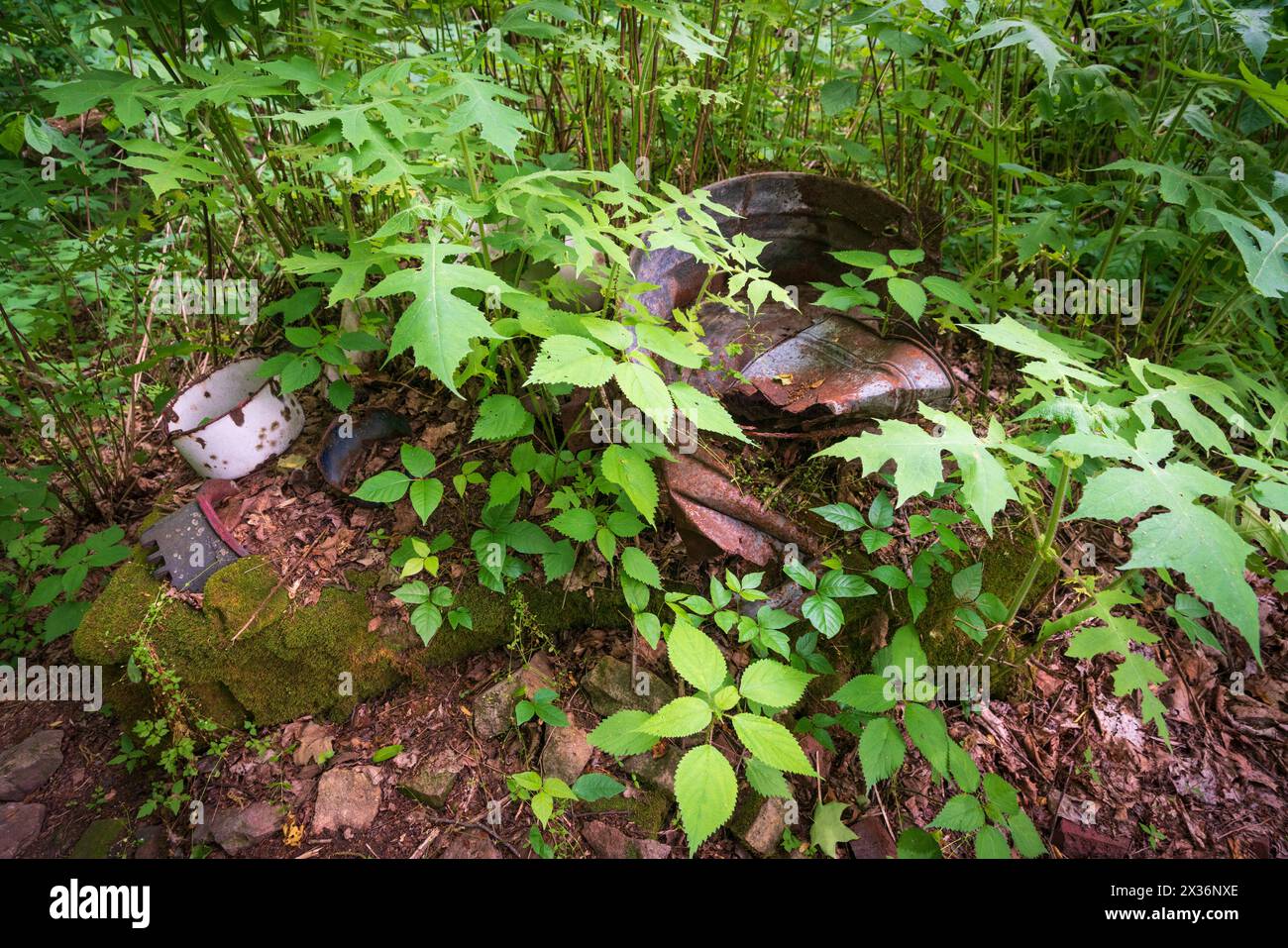 Ruins of the Kaymoor Mine Site at New River Gorge National Park and ...
