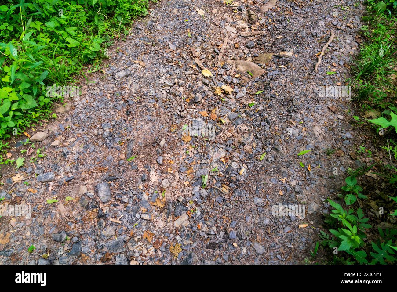 Ruins of the Kaymoor Mine Site at New River Gorge National Park and ...