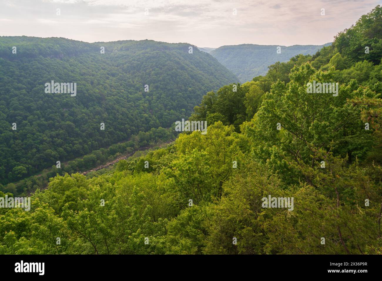 An Overlook of the River at New River Gorge National Park and Preserve ...