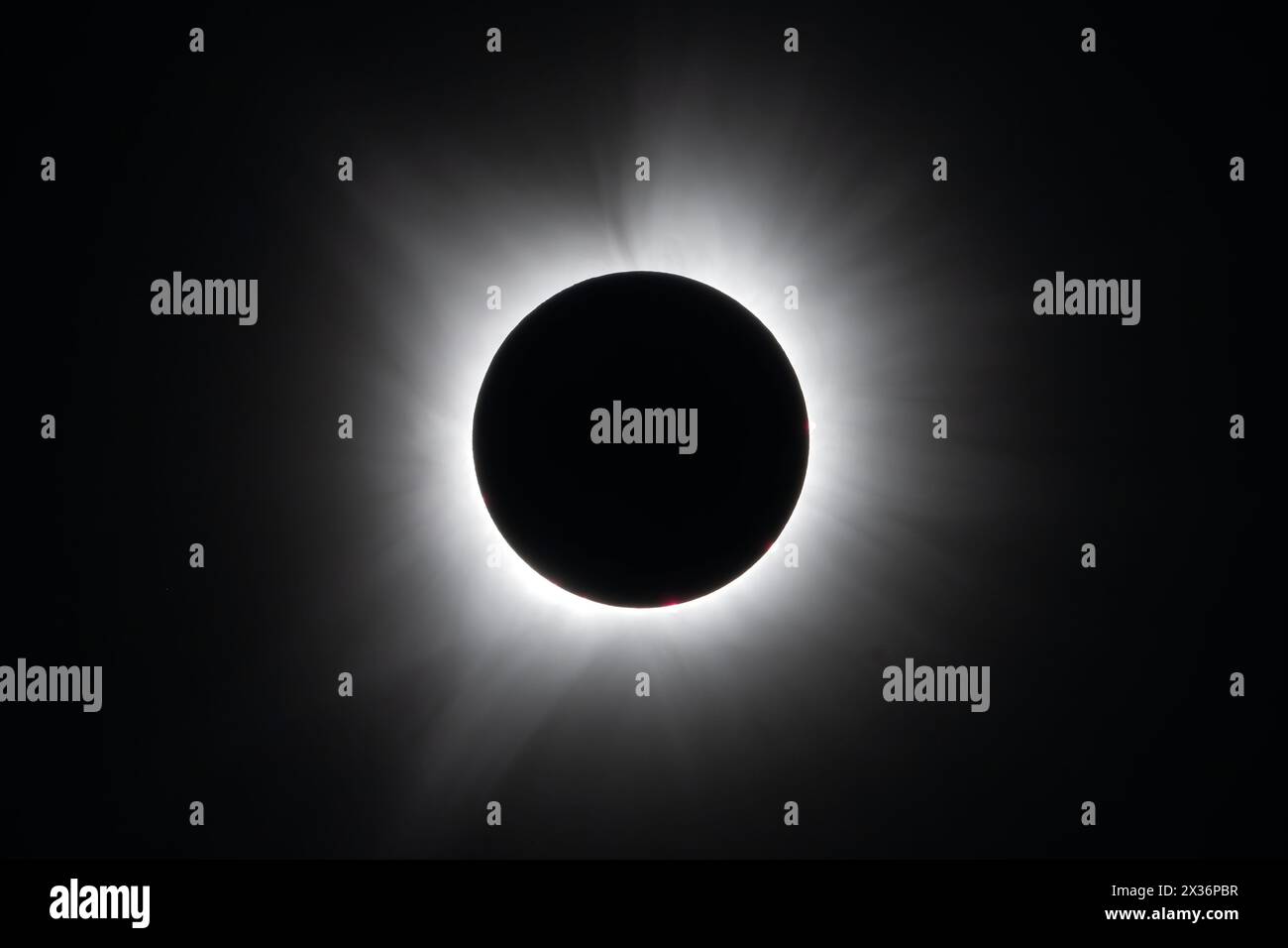 Total eclipse of the Sun. April 8, 2024 Stock Photo - Alamy