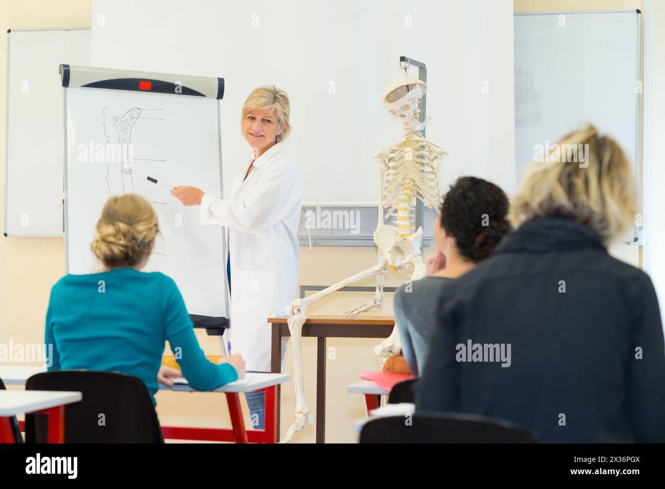 anatomy teacher and her students in class Stock Photo - Alamy