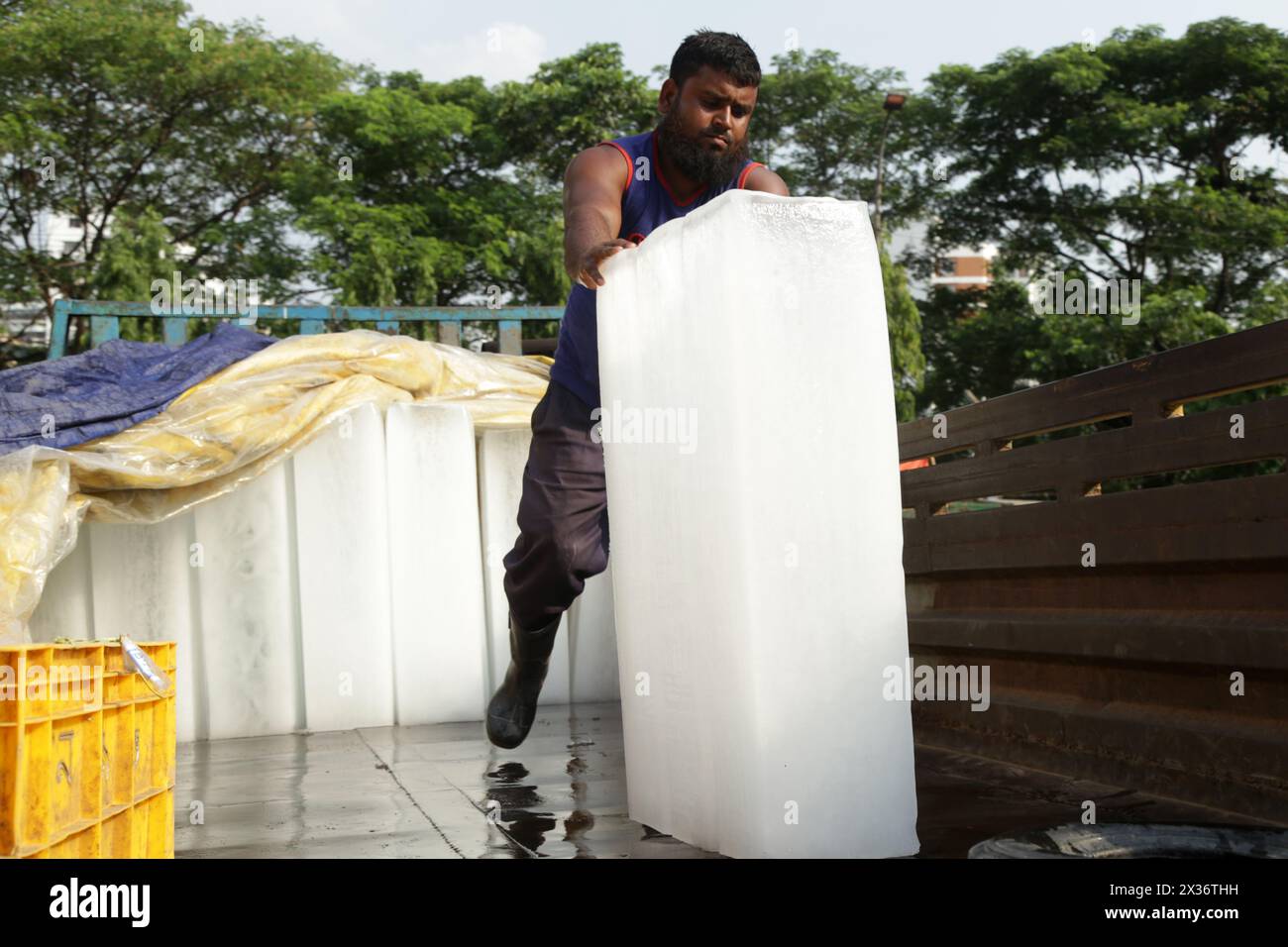 Dhaka. 25th Apr, 2024. A worker unloads an ice block from a truck amid the ongoing heat wave in ...