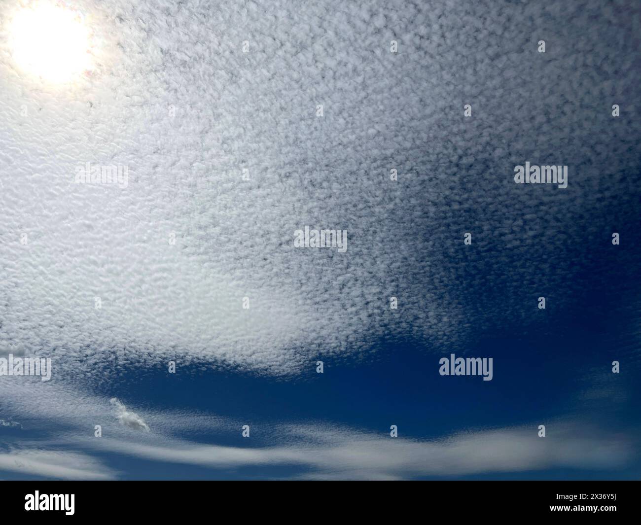Schaefchenwolken, Cirrocumulus undulatus kuendigen Regen an. Fleecy ...