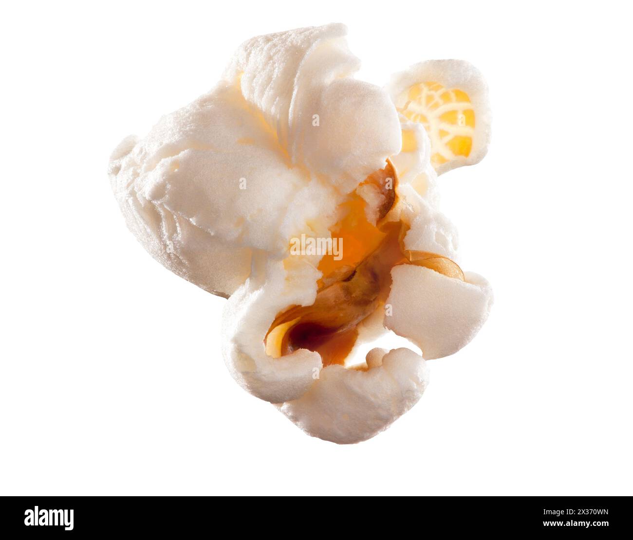 Corn, single and popcorn snack in studio for nutrition or carbs, diet ...