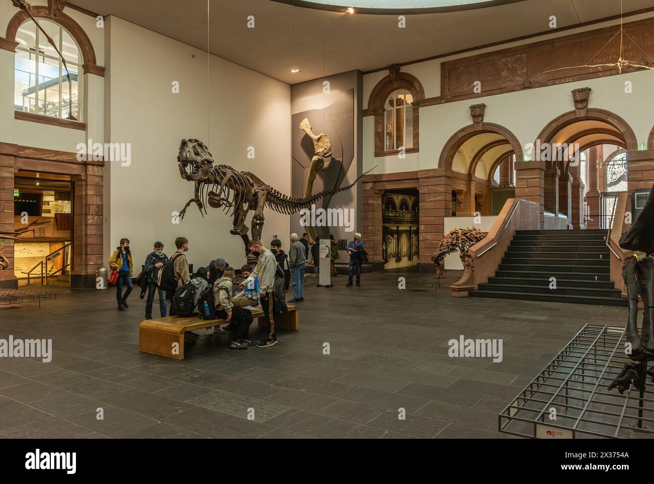 Visitors to the Senckenberg Museum of Natural History, Frankfurt ...