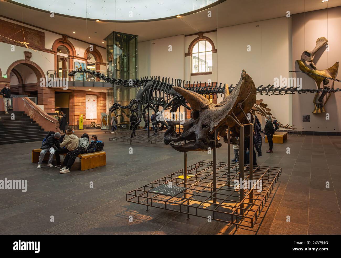 Visitors to the Senckenberg Museum of Natural History, Frankfurt ...