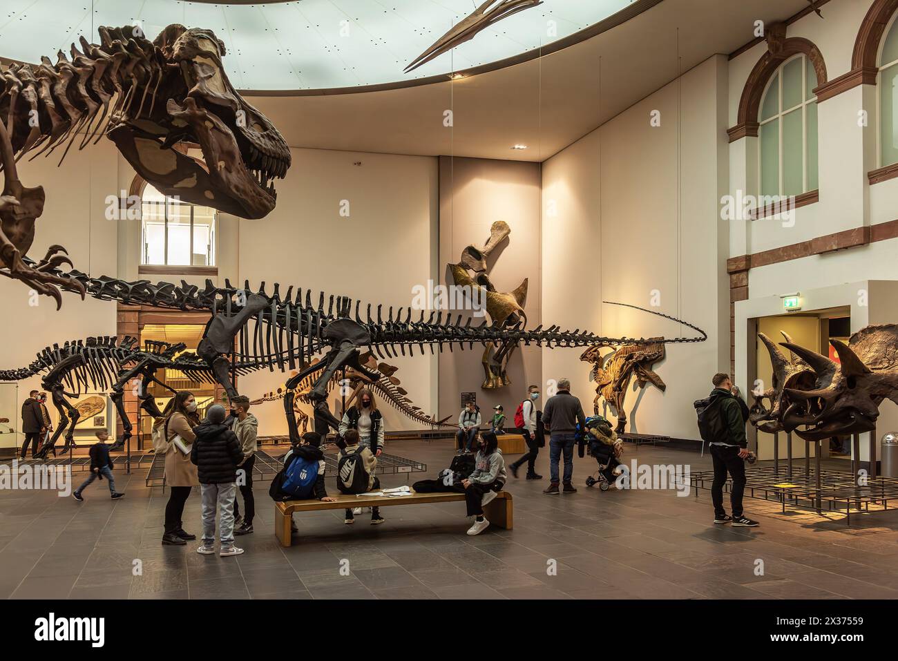 Visitors to the Senckenberg Museum of Natural History, Frankfurt ...
