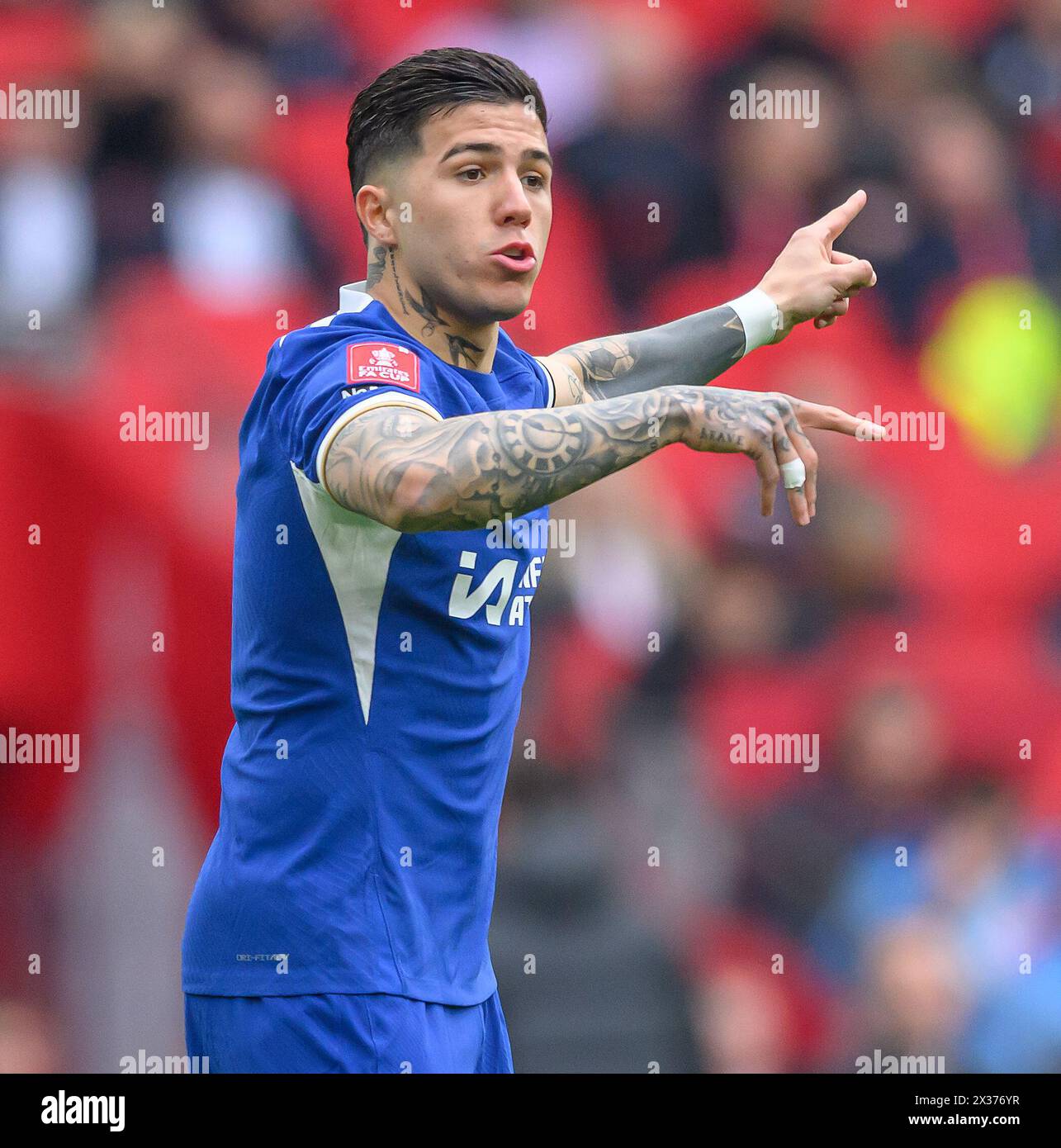 Enzo fernandez chelsea hi-res stock photography and images - Alamy