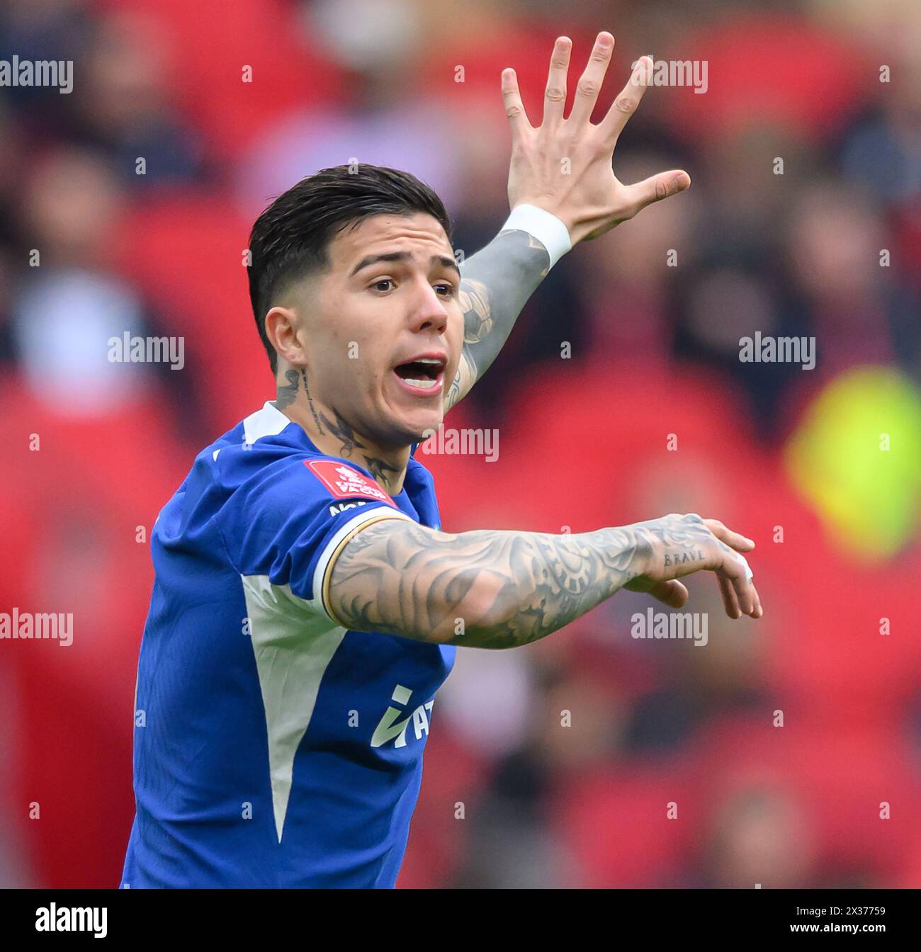 Enzo fernandez chelsea hi-res stock photography and images - Alamy
