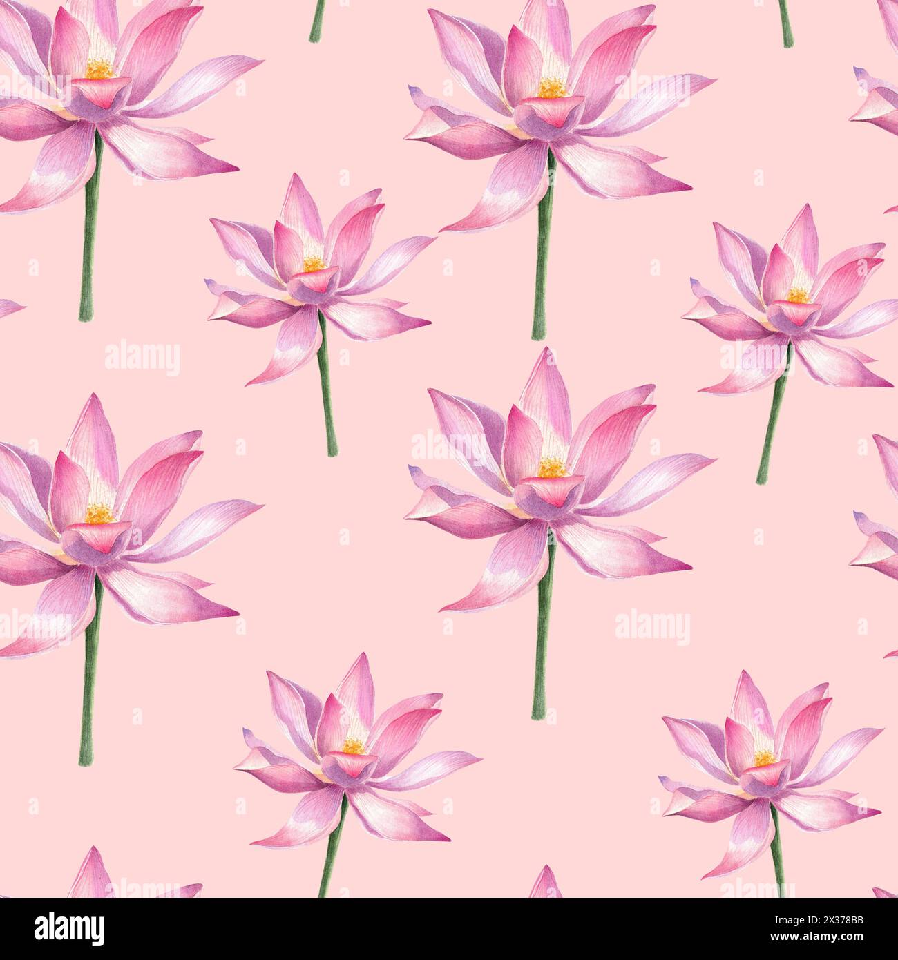 Lotus Flowers, watercolor, seamless pattern, hand drawn, illustration ...