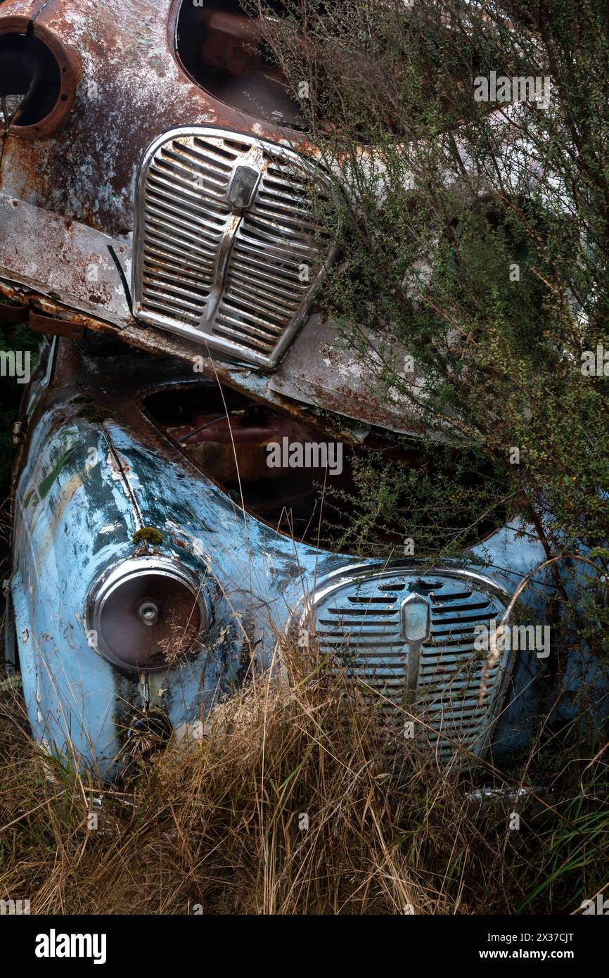 Derelict Austin A30 cars at "Crash Palace" scrapyard, Horopito ...