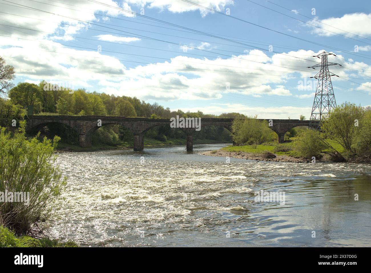 Waverley Viaduct, Disused and overgrown railway bridge over the River ...