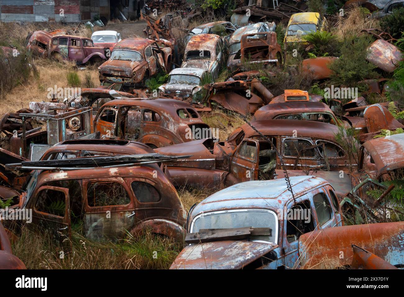 Derelict vehicles at "Crash Palace" scrapyard, Horopito, Waimarino ...