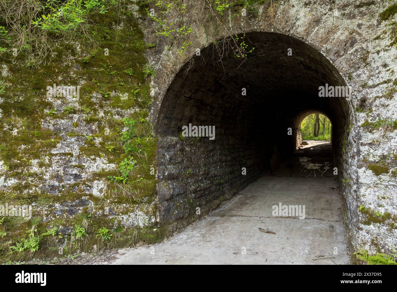 An old stone tunnel bridge during spring Stock Photo - Alamy