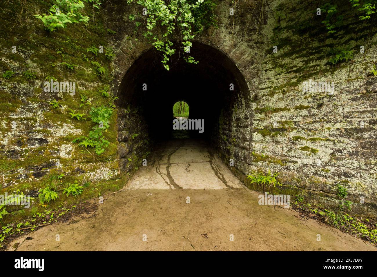 An old stone tunnel bridge during spring Stock Photo - Alamy