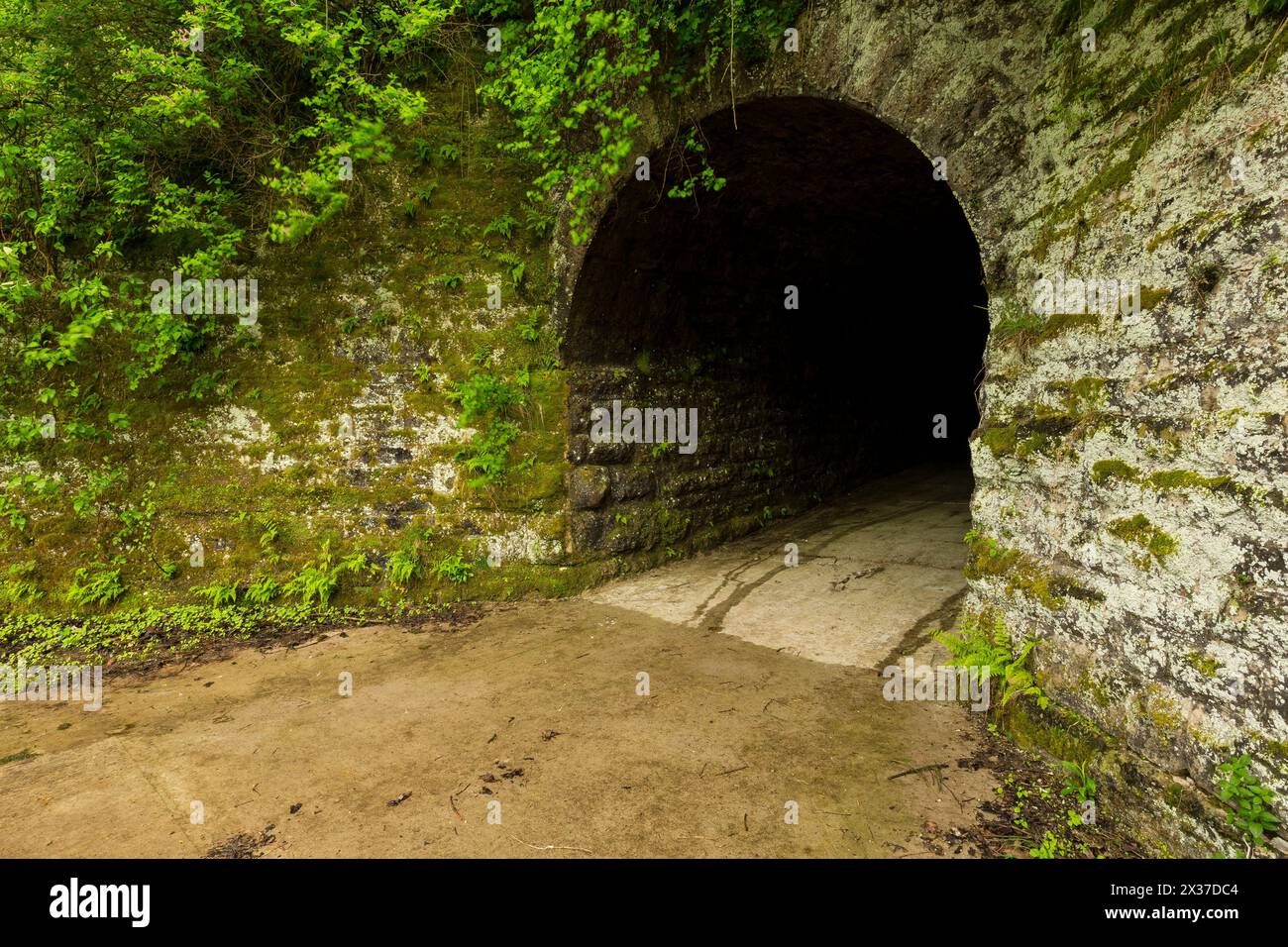 An old stone tunnel bridge during spring Stock Photo - Alamy