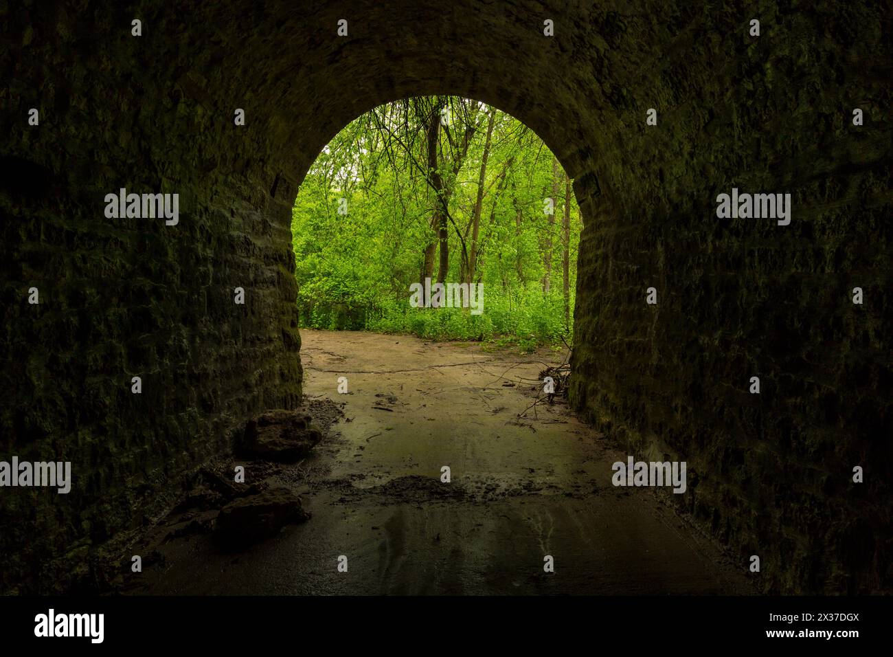 Inside a tunnel looking out to a wooded area Stock Photo - Alamy