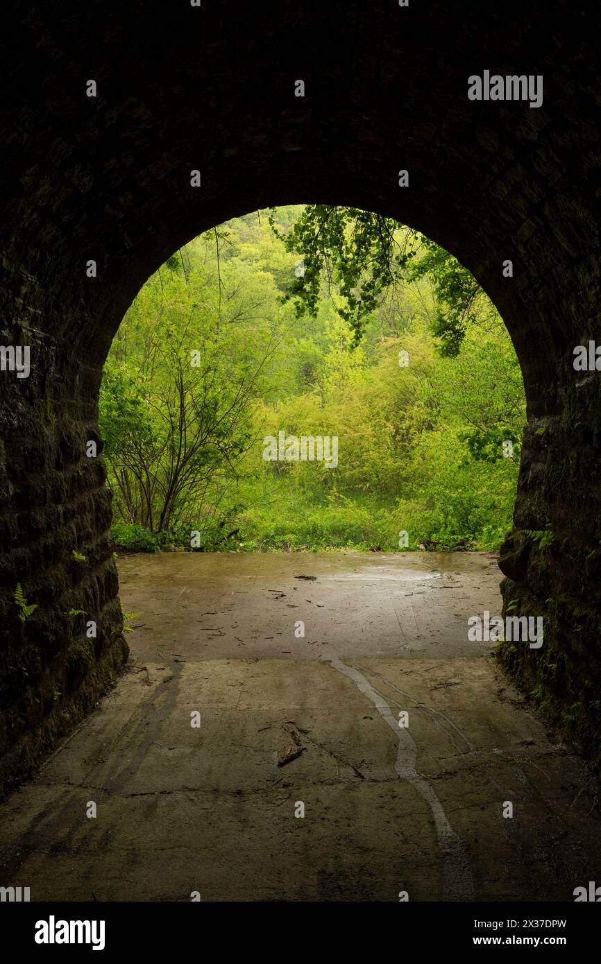Inside a tunnel looking out to a wooded area Stock Photo - Alamy