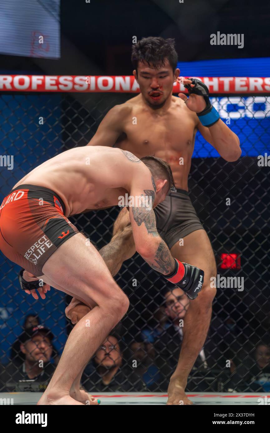 Octagon mma hi-res stock photography and images - Alamy