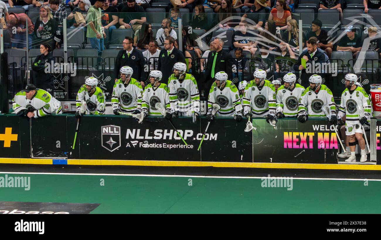 Las Vegas Desert Dogs Team Stock Photo - Alamy