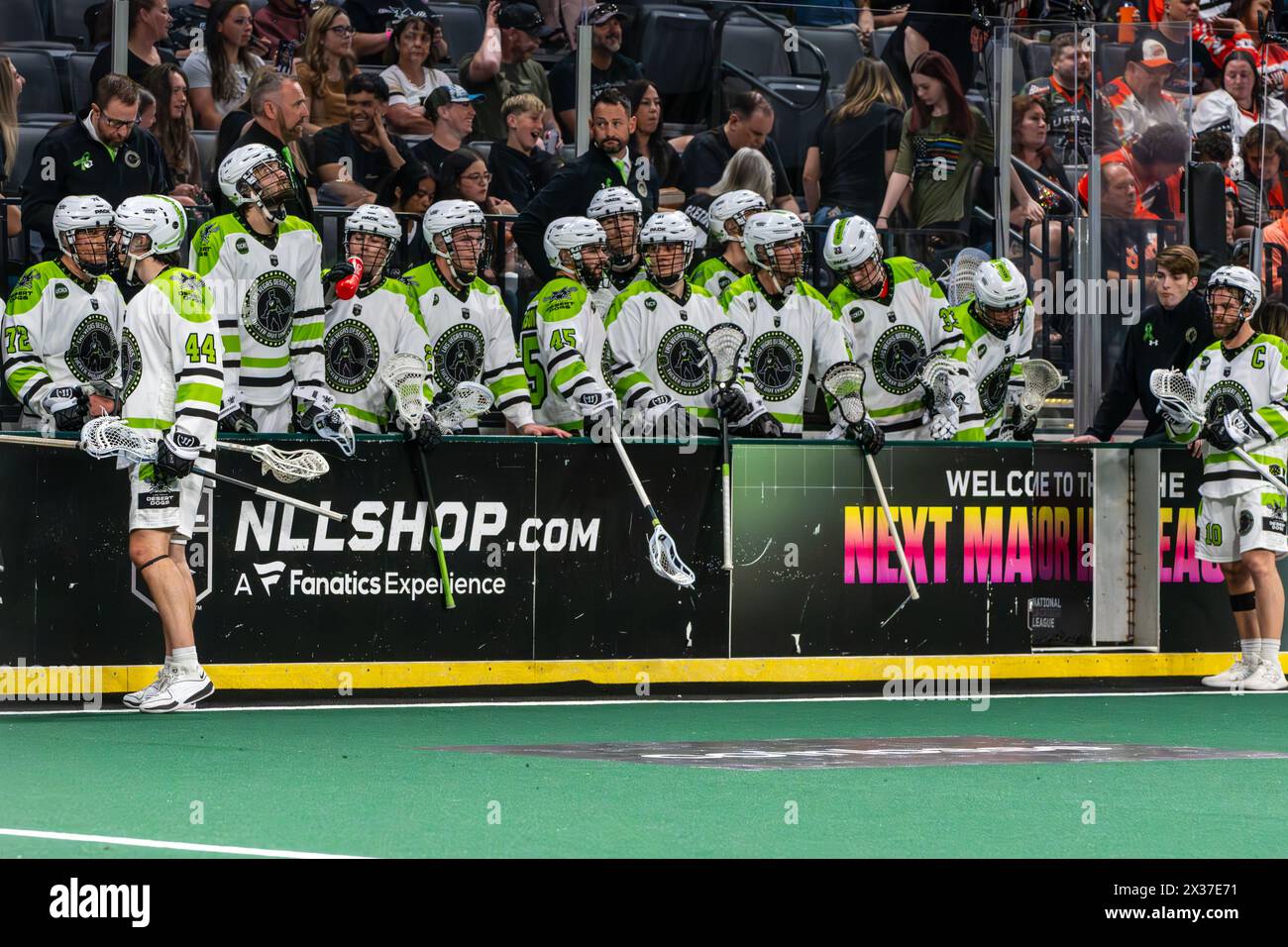 Las Vegas Desert Dogs Team Stock Photo - Alamy