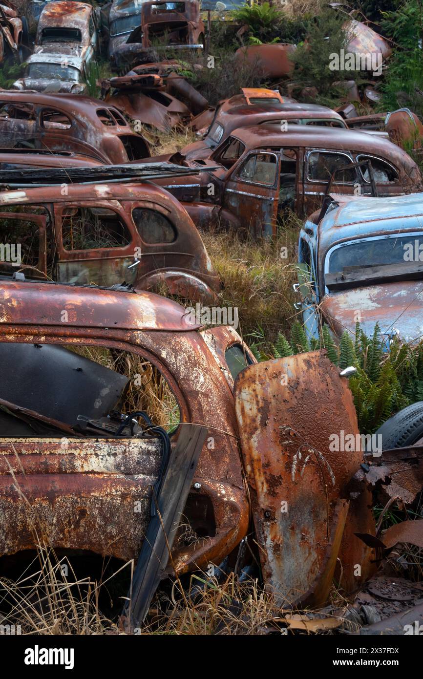 Derelict vehicles at "Crash Palace" scrapyard, Horopito, Waimarino ...