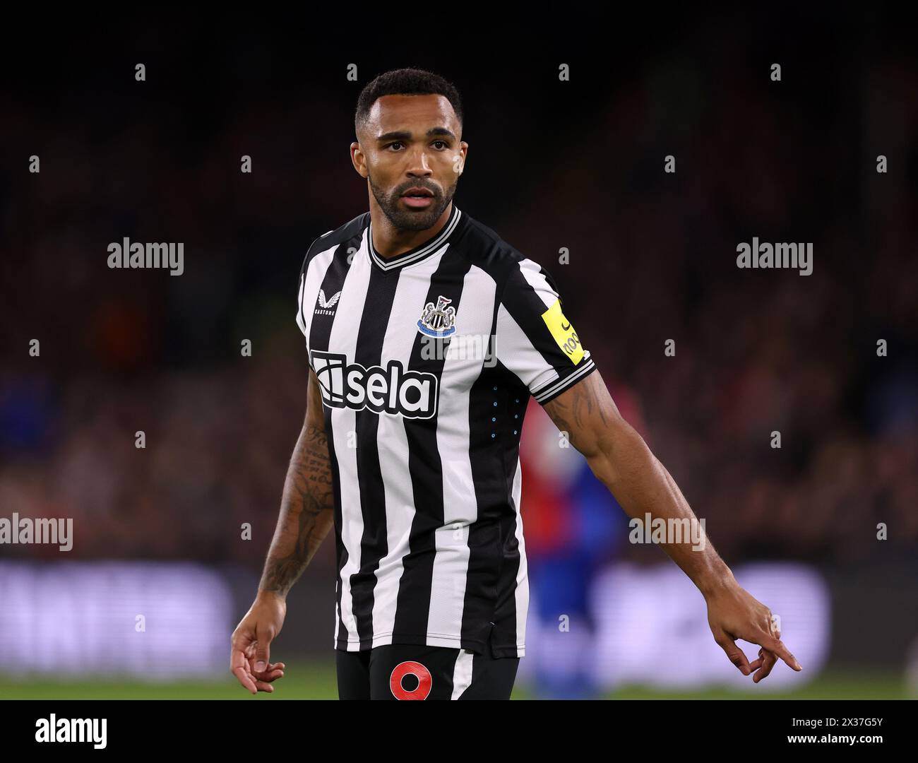 Callum wilson newcastle united 2024 hi-res stock photography and images ...