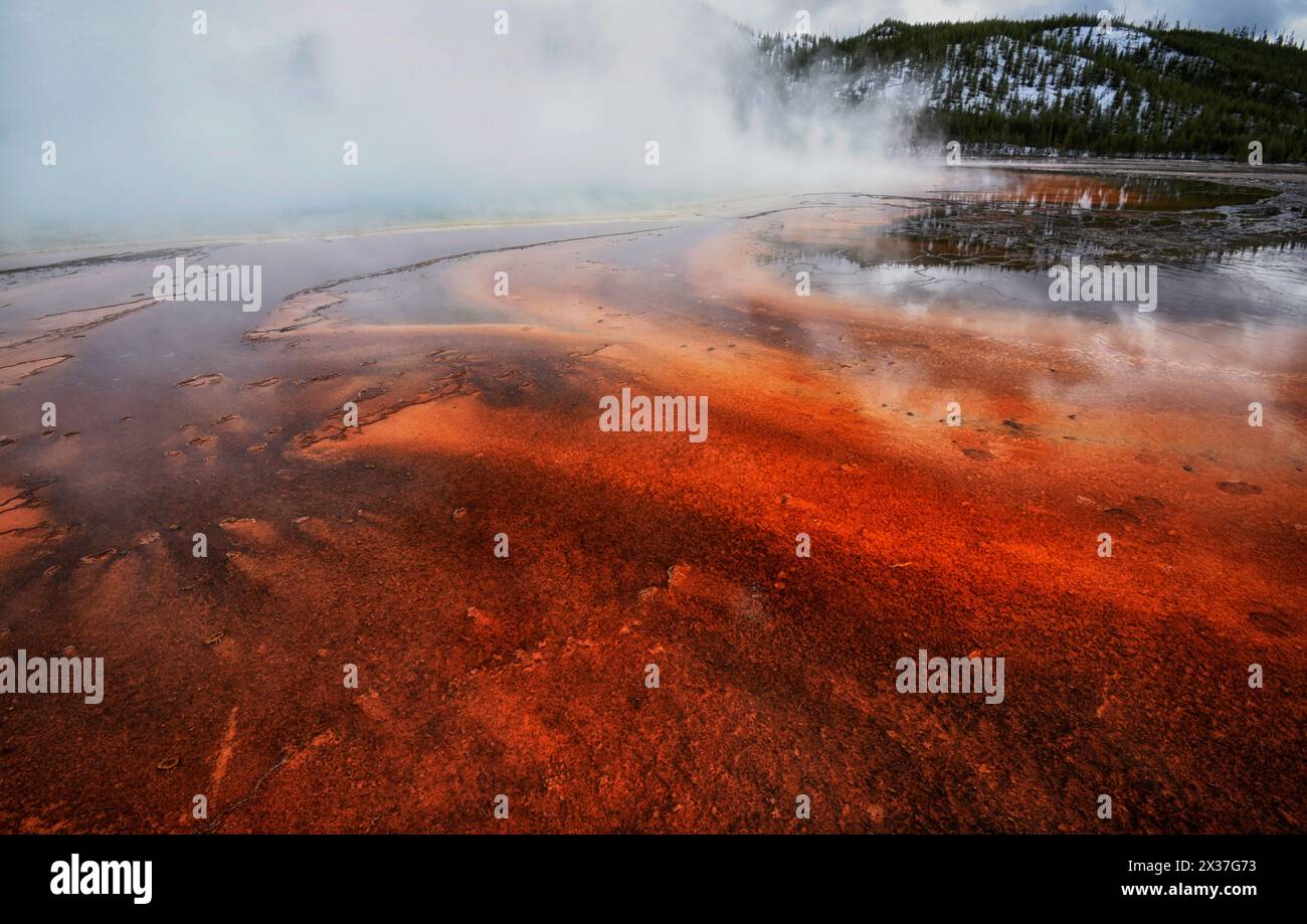 The red geologic formations of the prismatic spring in Yellowstone ...