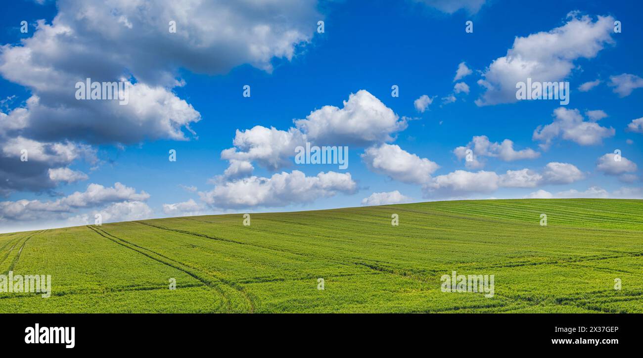 Field green grass perfect sky hi-res stock photography and images - Alamy