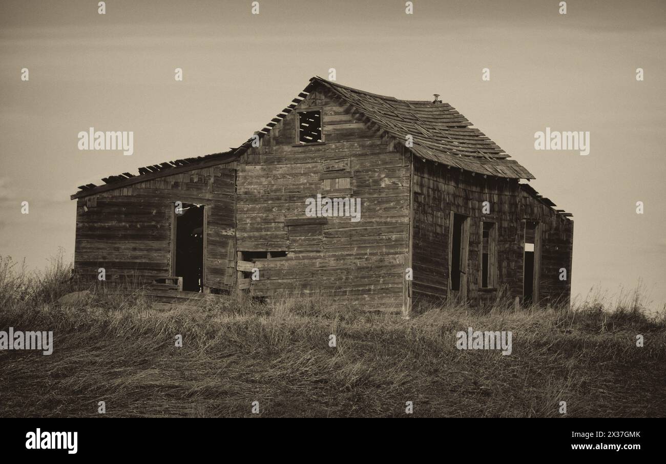 Old wooden abandoned house on the prairies in Western Canada Stock ...